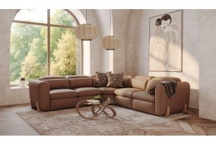 brown colour sofa sets